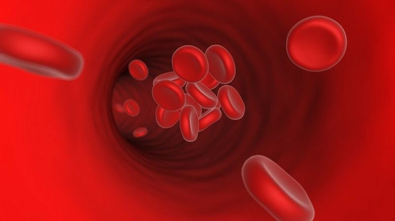 Thrombosen mit bestimmten Nährstoffen vorbeugen